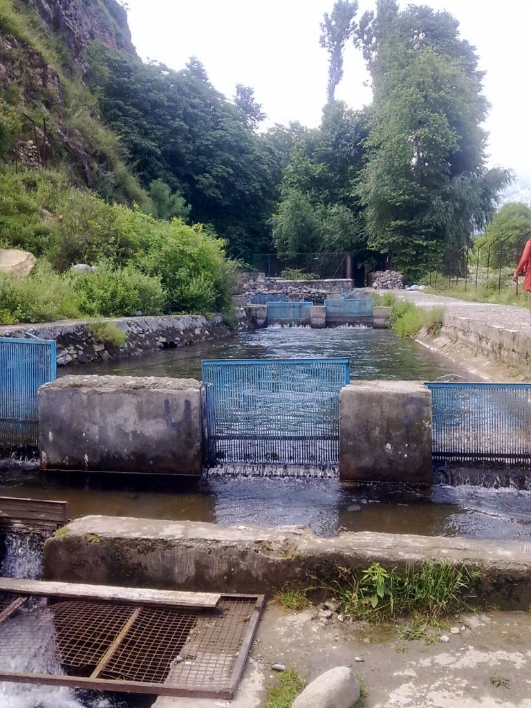 Aripal, Tral '' the spring meadow'',But looking for attention. - Voice ...